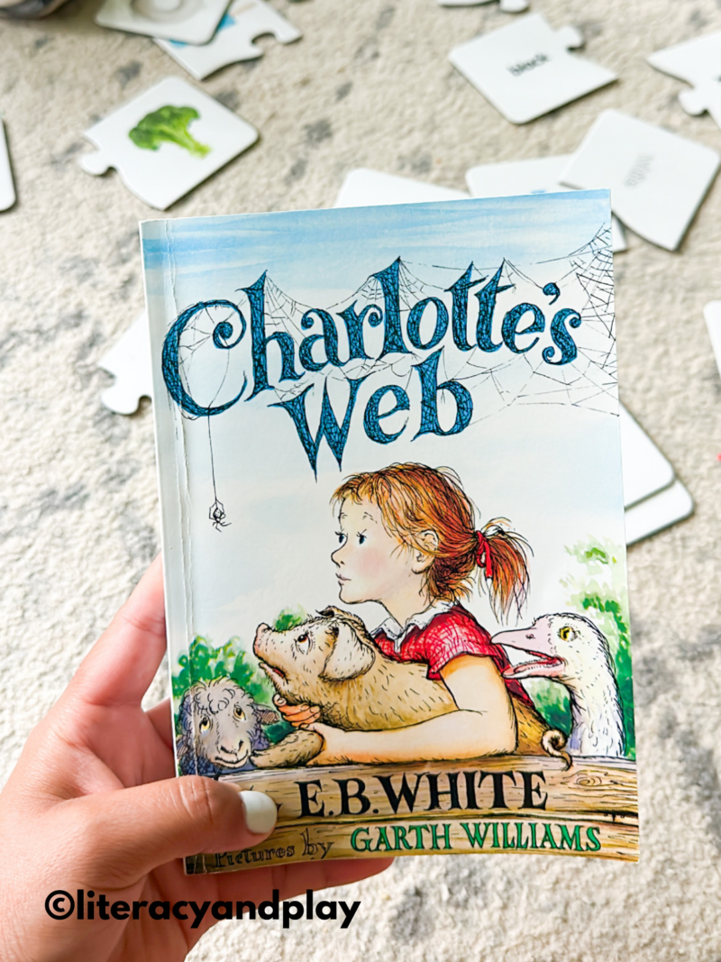 Pre-K Homeschool Curriculum for 4-year-old - Literacy & Play