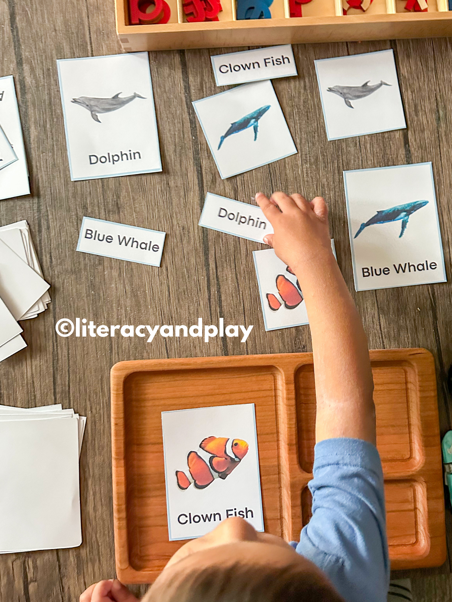 Fun Ocean Preschool Activities - Literacy & Play