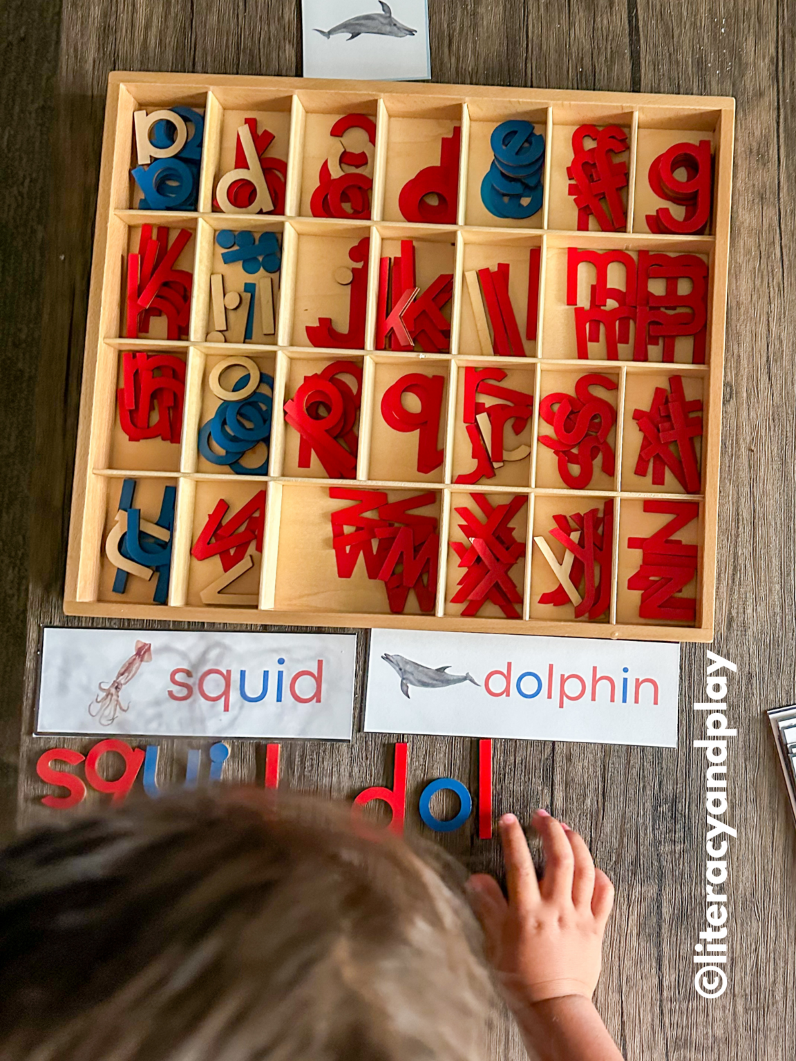 Fun Ocean Preschool Activities - Literacy & Play