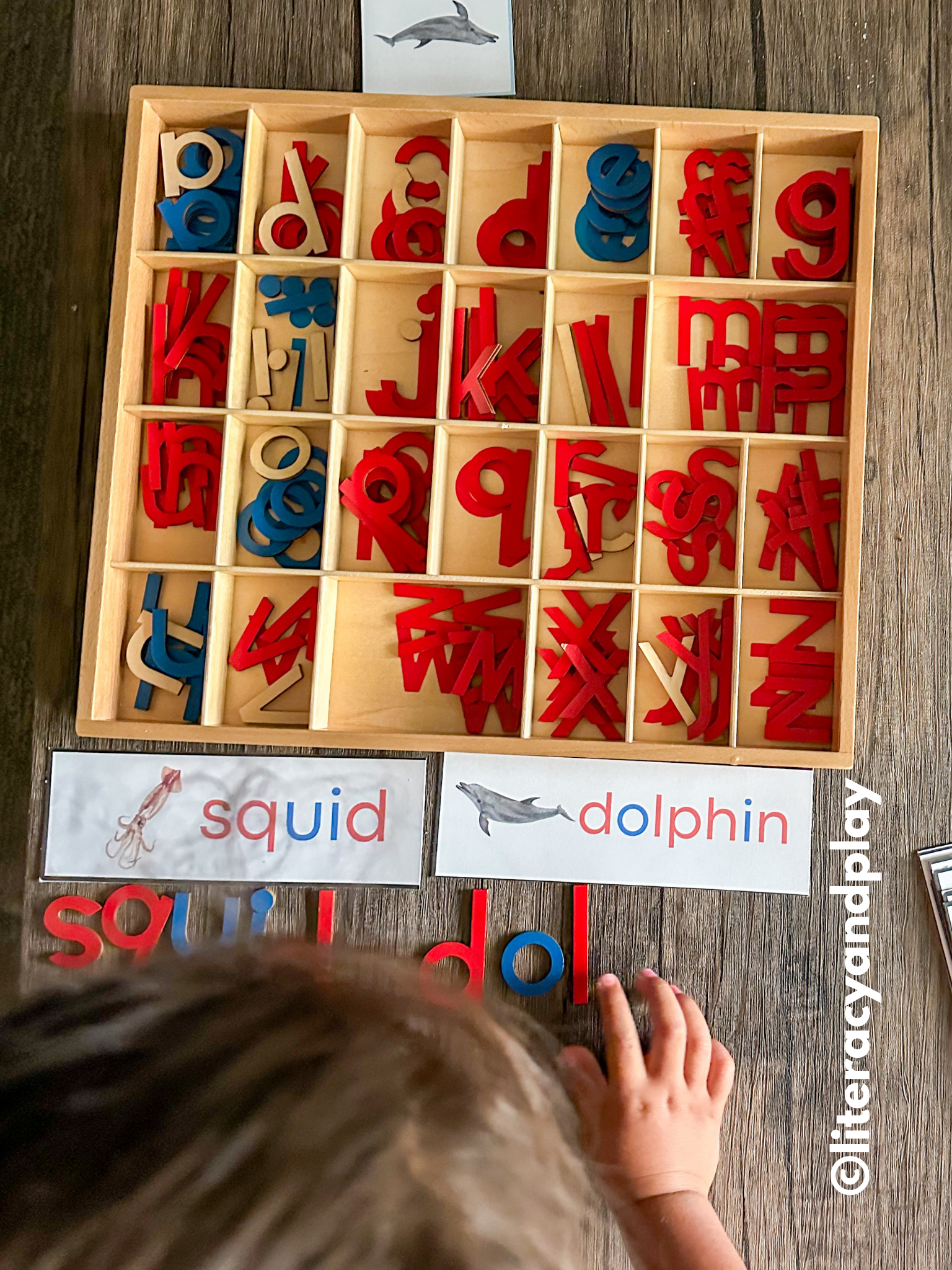 Fun Ocean Preschool Activities - Literacy & Play