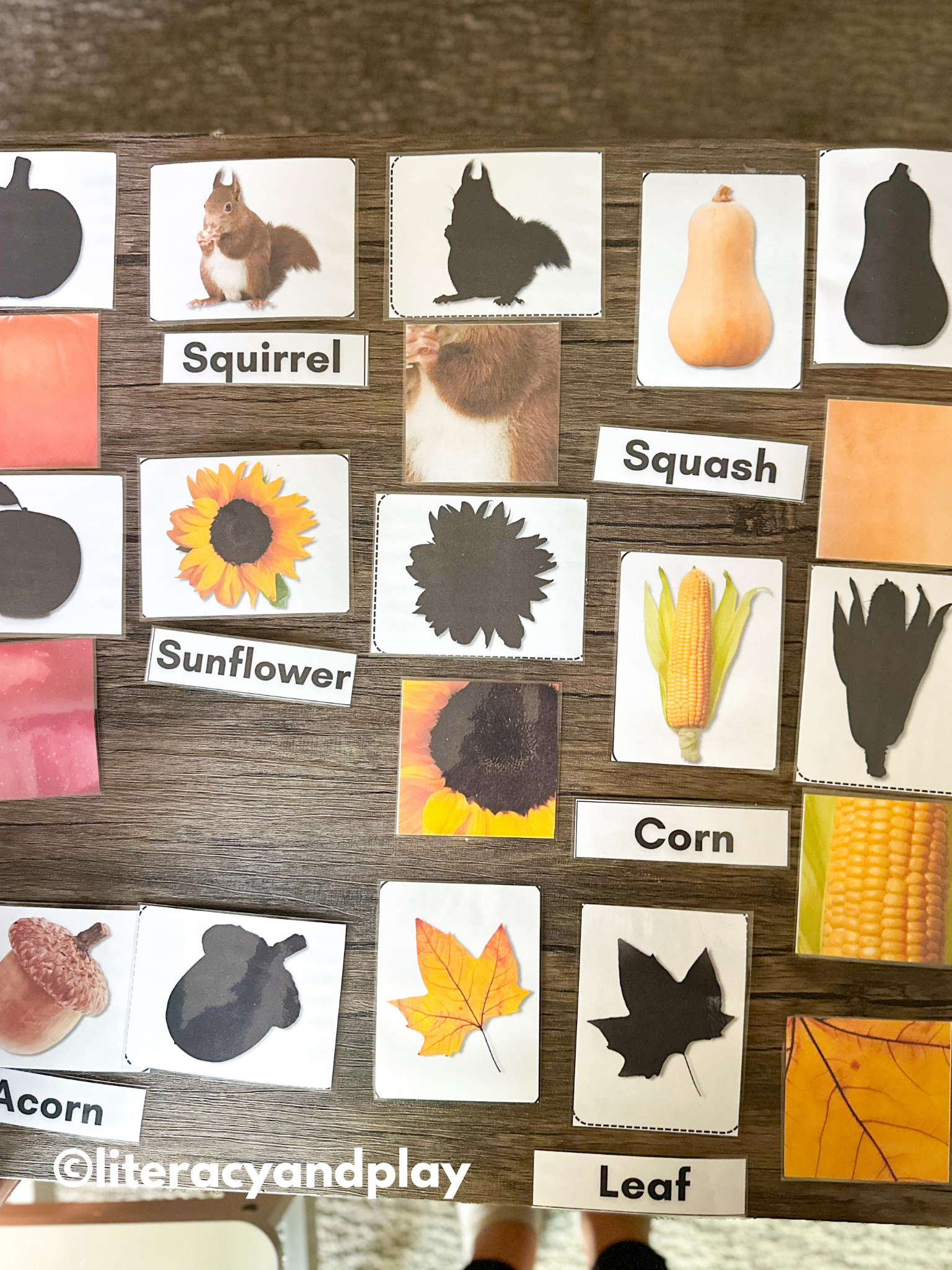 Fall Montessori Activities - Literacy & Play