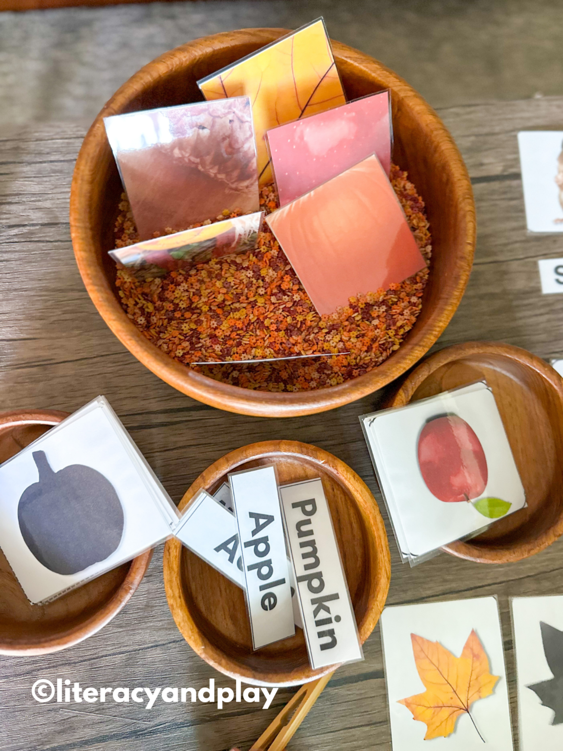 Fall Montessori Activities - Literacy & Play